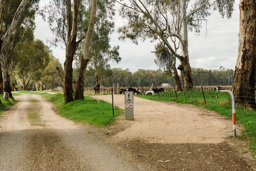 Wahgunyah River Track Walk - Rutherglen