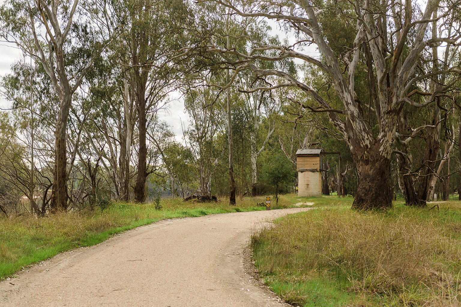 Wahgunyah River Track Walk - Rutherglen