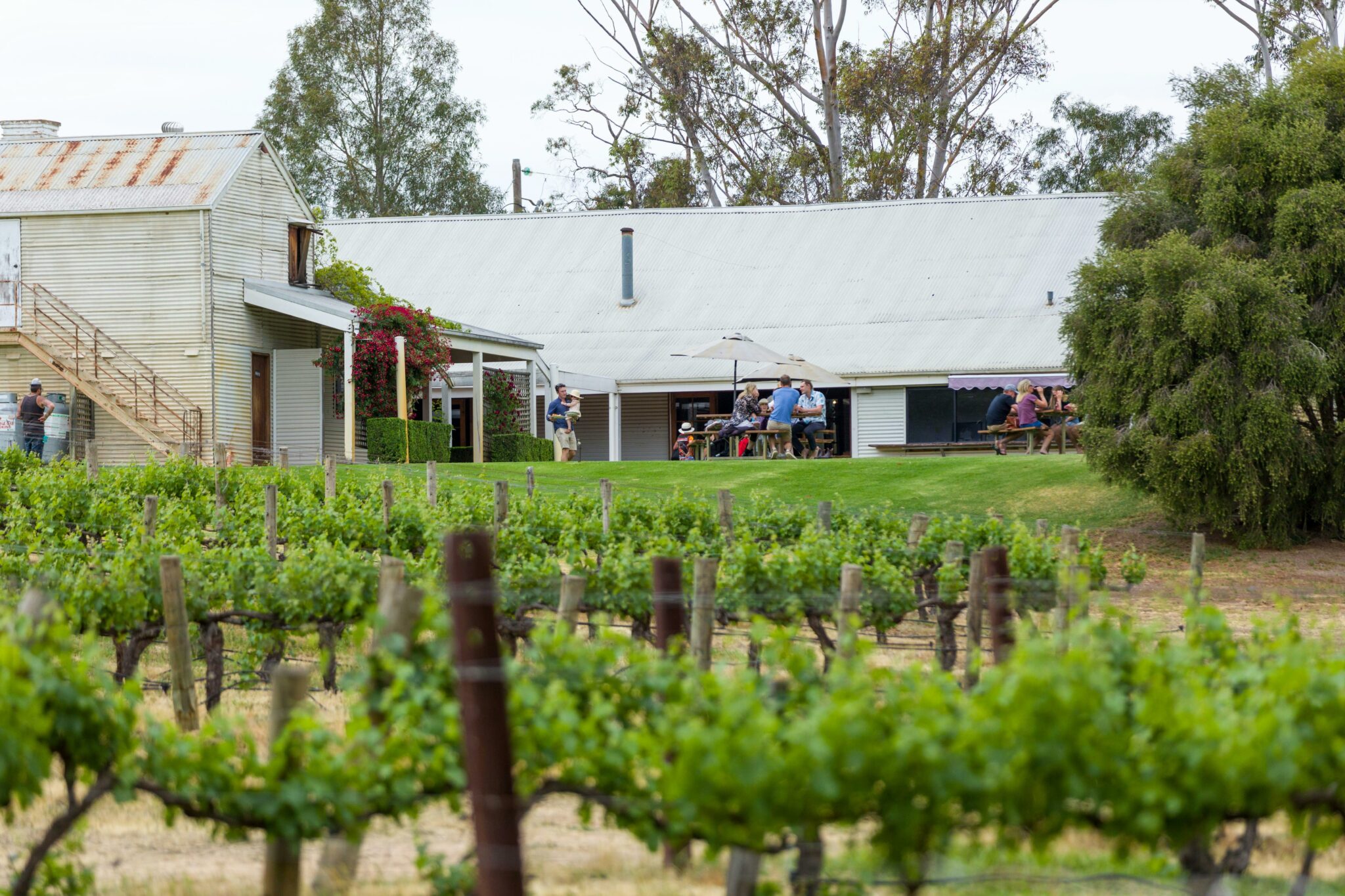 Restaurants - Rutherglen