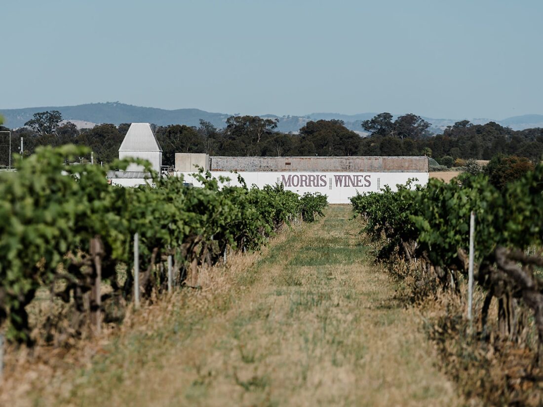 Rutherglen, Victoria - Office Travel and Tourism Website