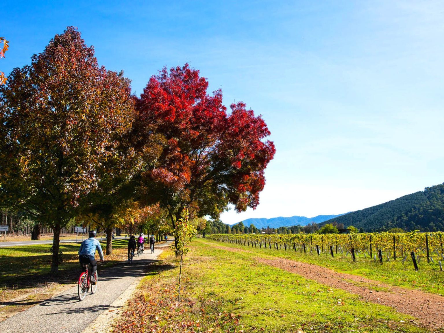 Rutherglen, Victoria - Office Travel and Tourism Website