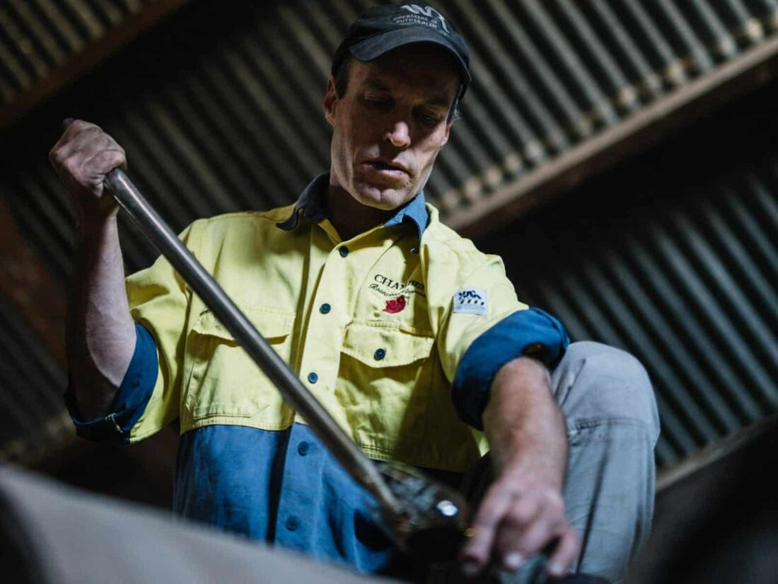 Wine Tours - Rutherglen