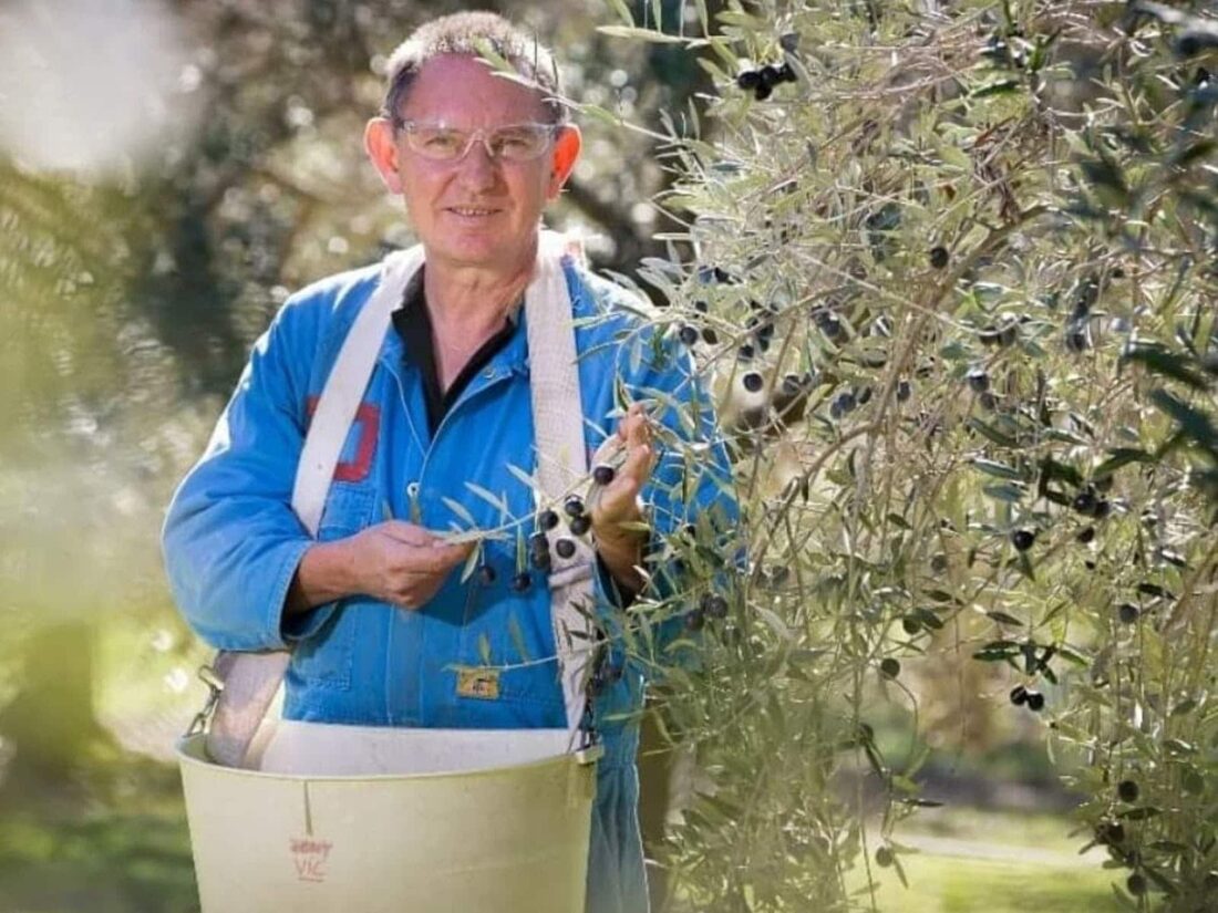 Cofield Wines - Rutherglen